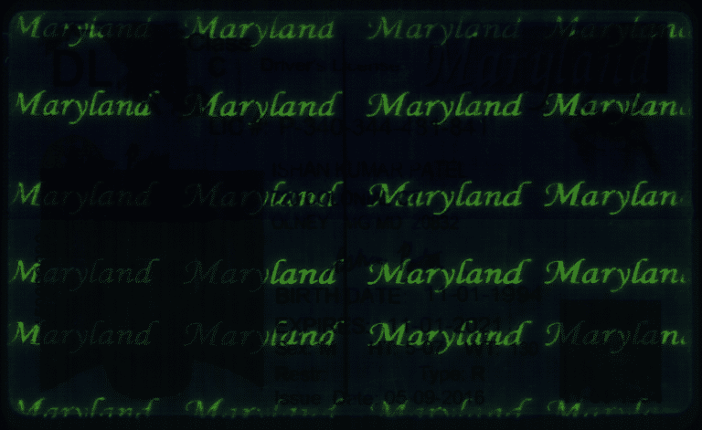 What Security Features Are On All State IDs?