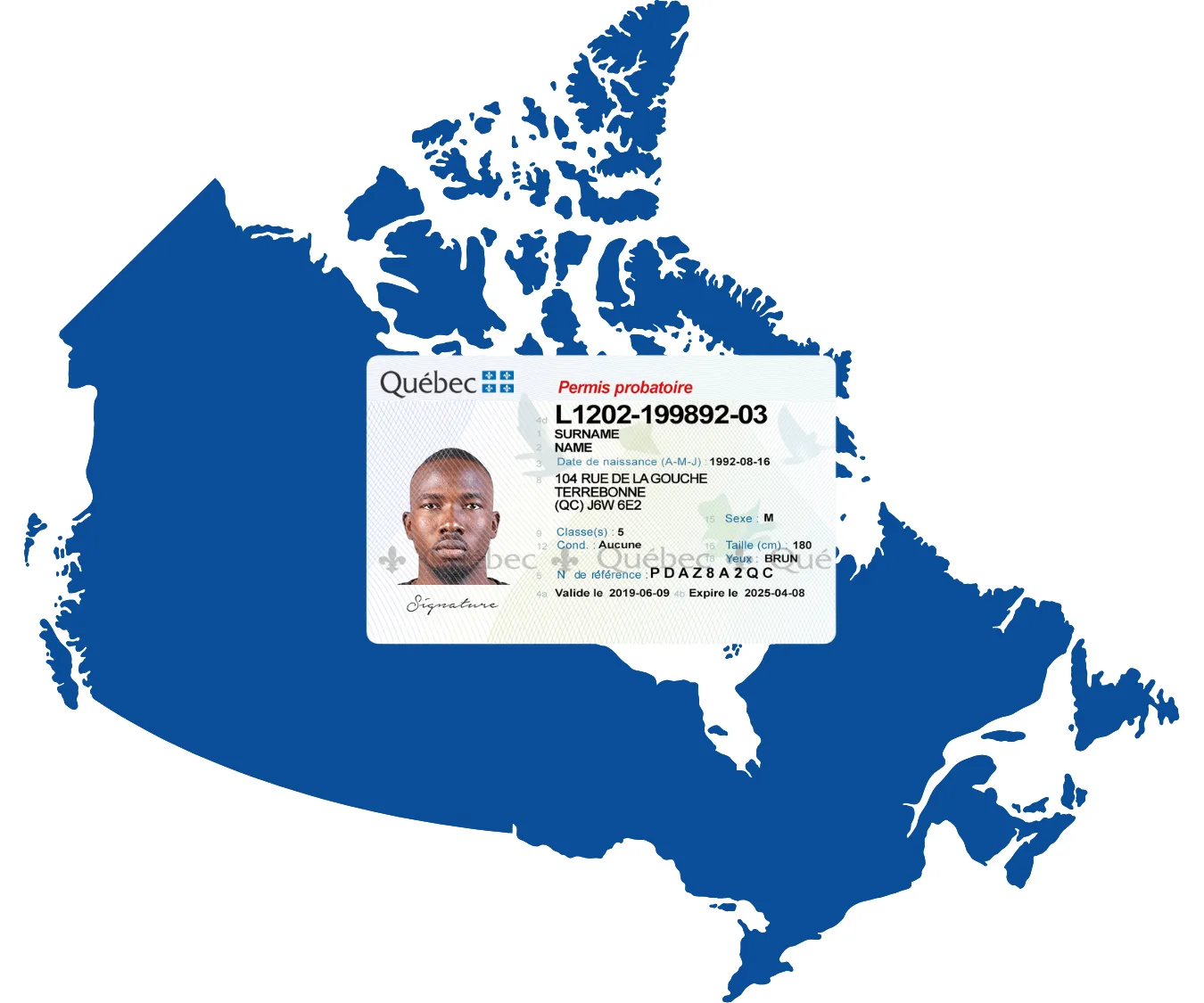 Verify Canadian Drivers Licence for Business Use - IDScan.net