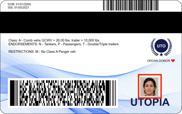 Anatomy of a drivers license - IDScan.net