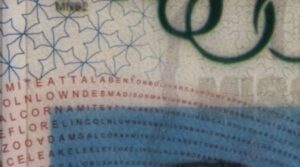 Which states include microprint as a security feature on their ID ...