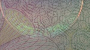 Which states include microprint as a security feature on their ID ...