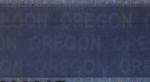 Which states include microprint as a security feature on their ID ...