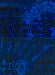 What Security Features Are On All State IDs?